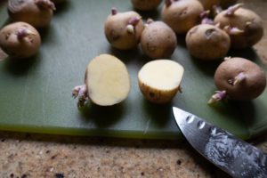 Grow Potatoes from Your Pantry | SF Bay Gardening