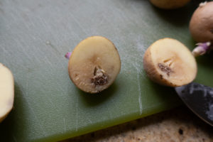 Grow Potatoes from Your Pantry | SF Bay Gardening